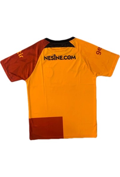 Modarios Galatasaray 2023 Iç Saha Yetişkin Forması Sarı Kırmızı Parçalı Modarios Galatasaray 2023 Iç Saha Yetişkin Forması Sarı Kırmızı Parçalı