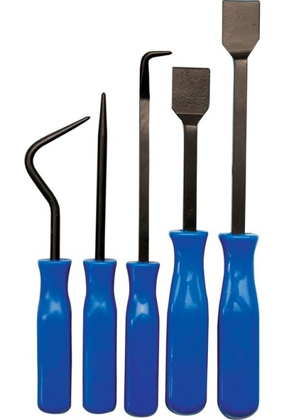 Bgs Kanca-Raspa Seti 5 Parça