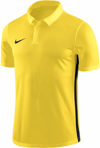 Nike Dry Academy 18 Ss 899984-719 Polo T-Shirt