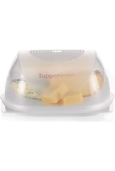 Tupperware Orta Peynir Dünyası
