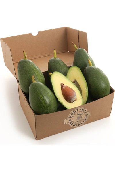 Portakal Burada Avokado Meyvesi Finike den 4' lü(taze avakado meyve) Portakal Burada Avokado Meyvesi Finike den 4' lü(taze avakado meyve)