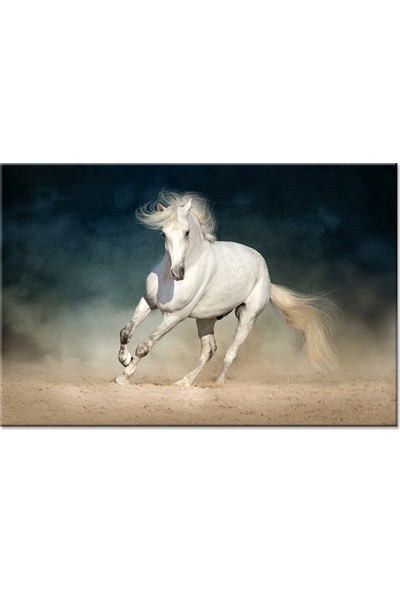 Özverler At Kanvas Tablo Haat-3465 60 x 90 Özverler At Kanvas Tablo Haat-3465 60 x 90