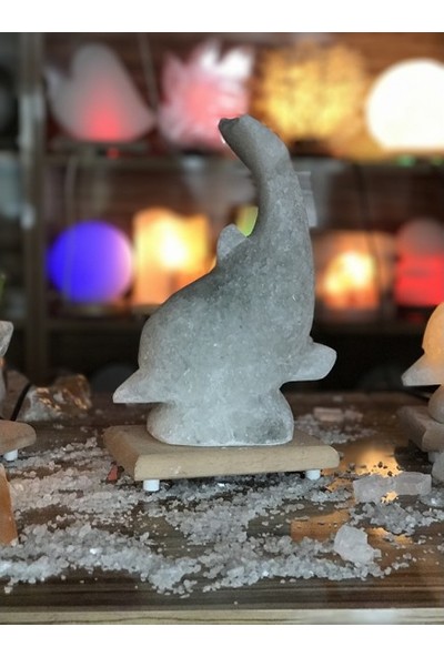 Seha Yunus Tuz Lamba