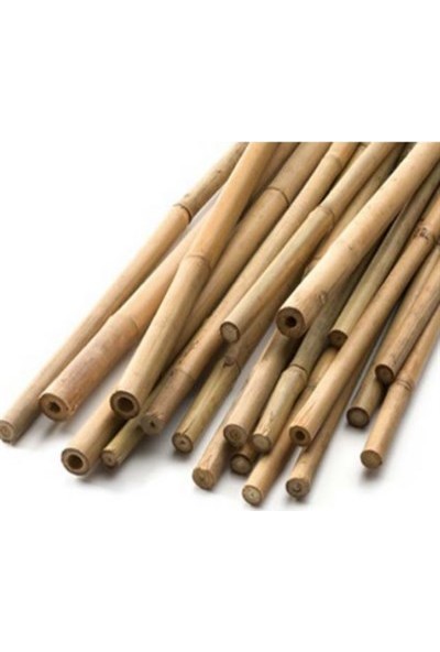 Evve Bahce Bambu Fidan Dikim Destek Çubuğu (10 Adet) Evve Bahce Bambu Fidan Dikim Destek Çubuğu (10 Adet)