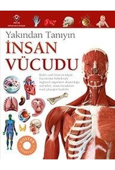 İnsan Vücudu Yakından Tanıyın- Richard Walker