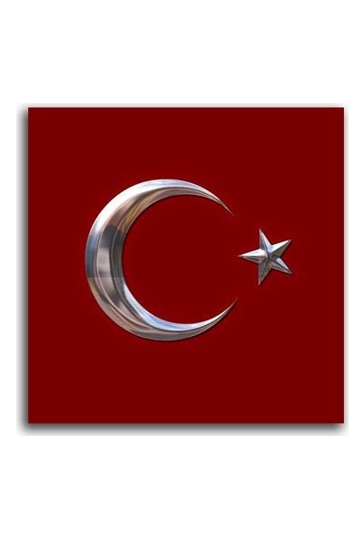 Tablo Kanvas Türk Bayrağı Tablo