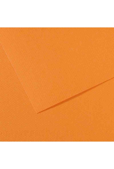 Canson Fon K. 50X65 160Gr Grenli Salmon 321104 Canson Fon K. 50X65 160Gr Grenli Salmon 321104