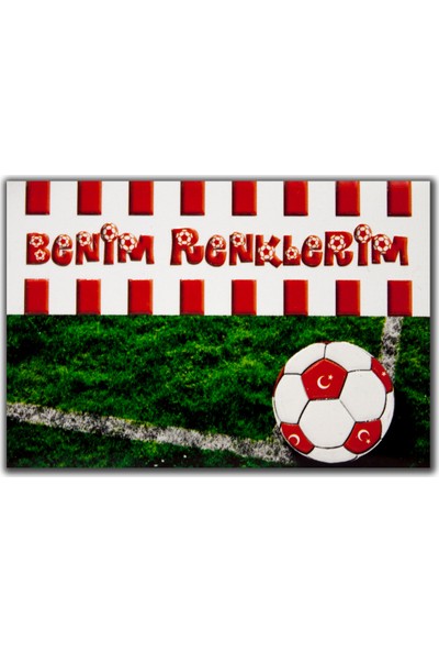 Paste Notes Benim Renklerim Cep Notluk