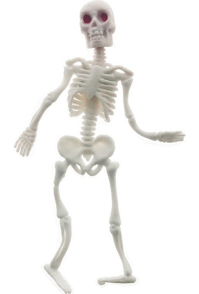 Hobi24 Hareketli İskelet Uzunluk: 14 Cm