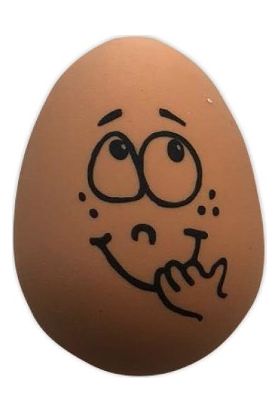Dr.Sacchi Köpek Oyuncağı Emoji Yumurta 5 cm