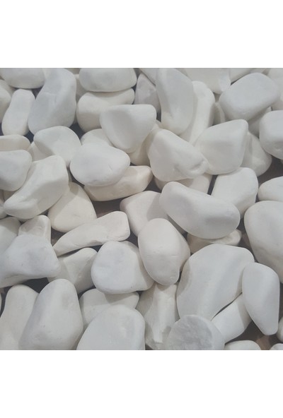 Woddy Akvaryum İçin Çakıl Taşı Büyük Boy Beyaz