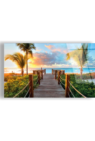 Dekorvia Kırılmaz Cam Palmiye Manzara Tablo