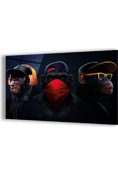 Dekorvia Kırılmaz Cam 3 Maymun Tablo