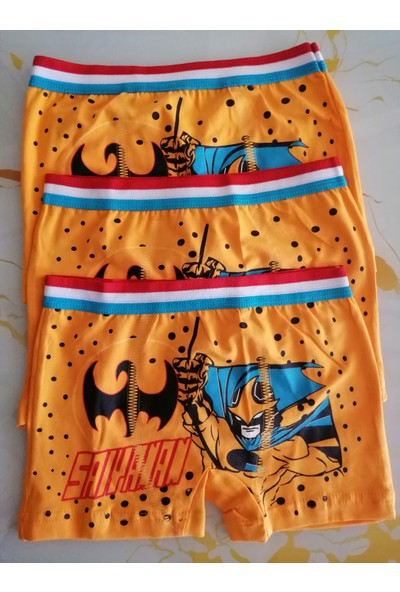 Neyl Çocuk Likralı Baskılı Boxer 3'lü