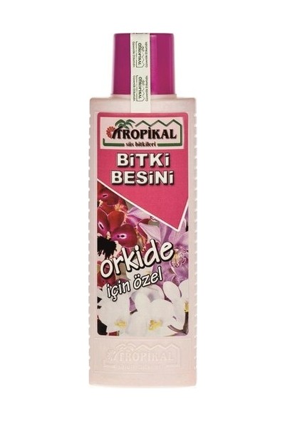 Tropikal Bitki Besini Orkide