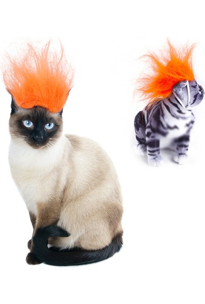 Gentisy Evcil Kediler Için Komik Süsleme (Yurt Dışından) Gentisy Evcil Kediler Için Komik Süsleme (Yurt Dışından)