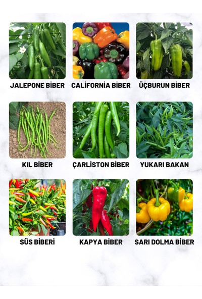 3A Botanik Biber Tohum 9'lu Set