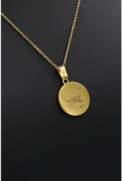 Medo E-Konsept Akrep Burcu Motifli Altın Kaplama Çelik Kolye Medo E-Konsept Akrep Burcu Motifli Altın Kaplama Çelik Kolye