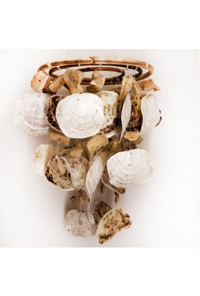 Dolunay Store 3 Halkalı Placuna Kabuklu Tahtalı Avize