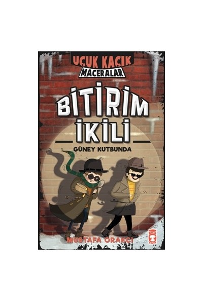 Bitirim Ikili Güney Kutbunda
