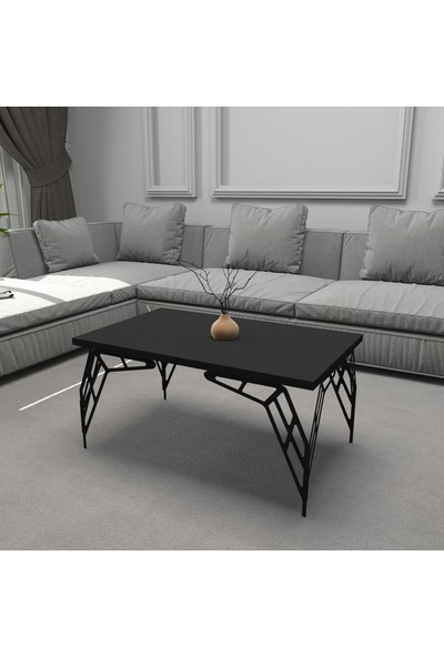 Ayybuu Pıgeon Metal Ayaklı Orta Sehpa Siyah - Siyah