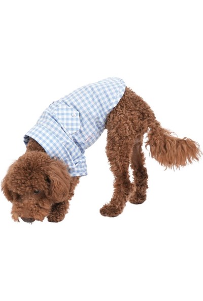 Pawstar Baby Blue Gingham Shirt Bebe Mavi Pötikare Gömlek Kedi Köpek Gömleği Kedi Köpek Kıyafeti Pawstar Baby Blue Gingham Shirt Bebe Mavi Pötikare Gömlek Kedi Köpek Gömleği Kedi Köpek Kıyafeti