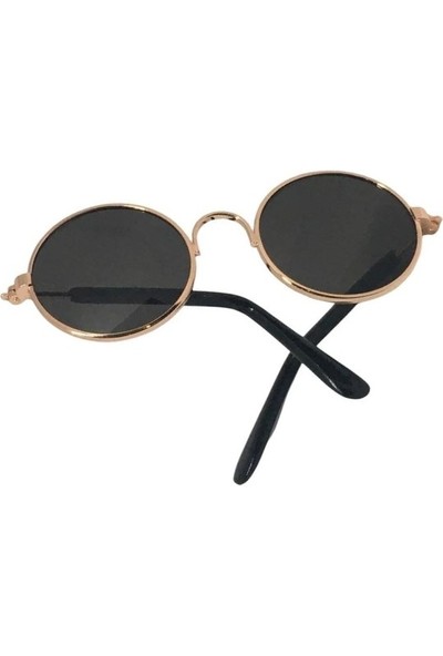 Gobo Kedi ve Küçük Irk Köpek Gözlüğü Siyah