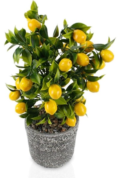 Porselen Saksıda Yapay Limon Ağacı