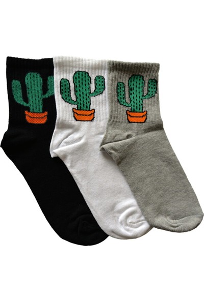 P-UBK Kaktüs Kolej 3 Lü Kolej Çorap