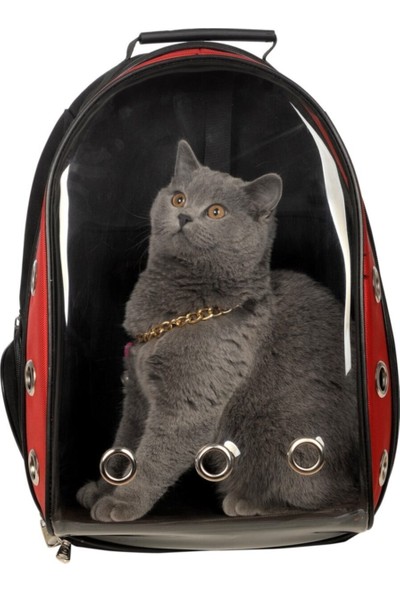 Wondi Şeffaf Astronot Kedi Taşıma Sırt Çantası Evcil Hayvan Taşıma Çantası Kırmızı