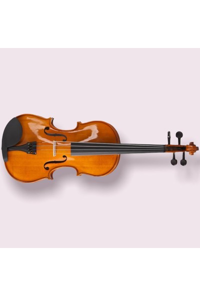 Valencıa Keman, Scale 4/4, Parlak, Klavye Karartılmış Akçaa Valencıa Keman, Scale 4/4, Parlak, Klavye Karartılmış Akçaa