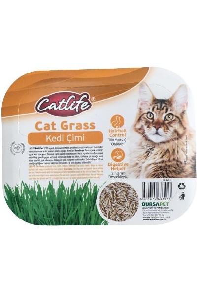 Aqua Catlife Tüy Yumağı Önleyici Sindirim Destekleyici Kedi Çimi Fileli Kedi Otu Tohumu Paket Aqua Catlife Tüy Yumağı Önleyici Sindirim Destekleyici Kedi Çimi Fileli Kedi Otu Tohumu Paket