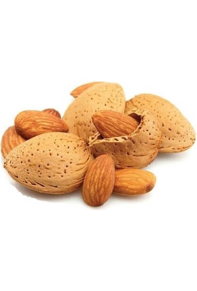 Heryere Kayısı Acı Badem (Kabuklu) 1 kg Heryere Kayısı Acı Badem (Kabuklu) 1 kg