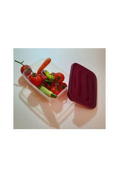 2li Dikdörtgen Saklama Kabı Seti