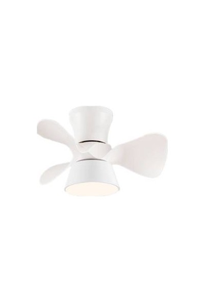 Sld Nordic Kişiselleştirilmiş Frekans Dönüşüm Tavan Fan Lambası, Yemek Odası Yatak Odası Tavan Fanı, Fanlı Çocuk Odası Avize, Abd Standart 110 V Frekans Dönüştürme (Yurt Dışından) Sld Nordic Kişiselleştirilmiş Frekans Dönüşüm Tavan Fan Lambası, Yemek Odası Yatak Odası Tavan Fanı, Fanlı Çocuk Odası Avize, Abd Standart 110 V Frekans Dönüştürme (Yurt Dışından)