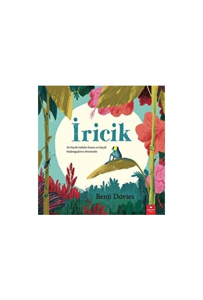 Iricik - Benji Davies