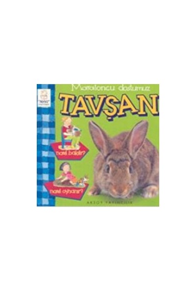 Maratoncu Dostumuz Tavşan Nasıl Bakılır? Nasıl Oynanır? - Christine Morley Maratoncu Dostumuz Tavşan Nasıl Bakılır? Nasıl Oynanır? - Christine Morley