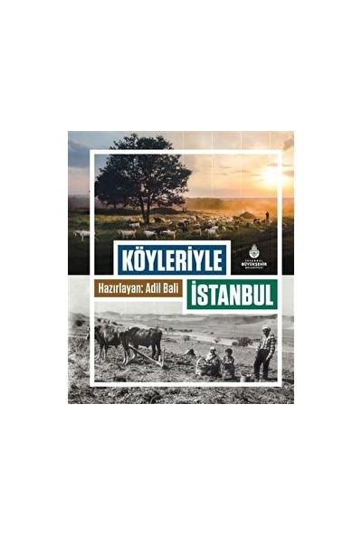 Köyleriyle Istanbul - Aydan Çelik