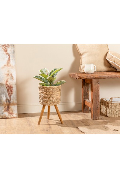 Natural Shape Saksı 21X21X38 cm Kahve