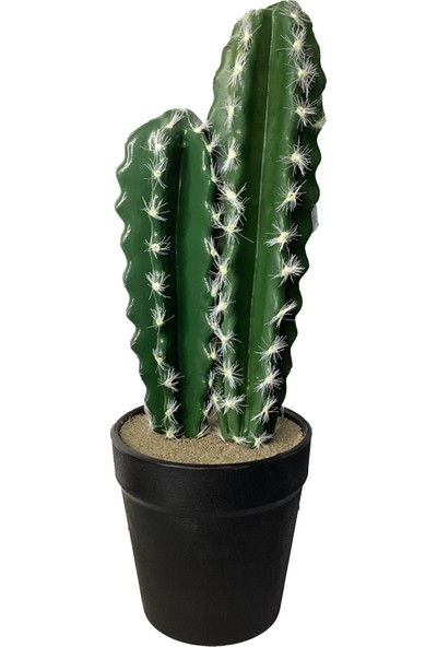 Fa Kaktüs Yapay Çiçek