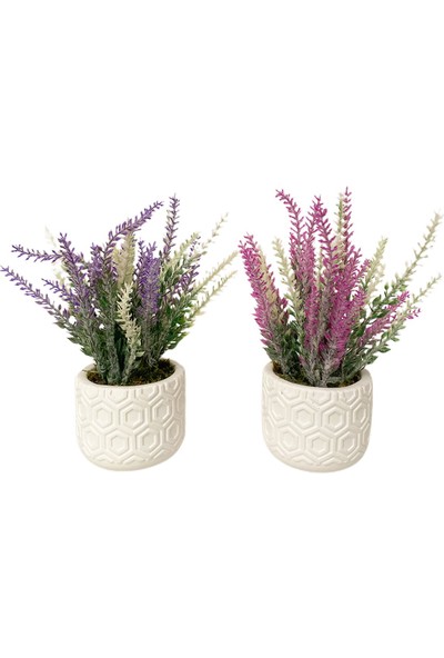 Hediye Vitrini Otantik Beton Saksı Da Mor Fuşya ve Beyaz Lavanta 2 Li Set 18 cm Hediye Vitrini Otantik Beton Saksı Da Mor Fuşya ve Beyaz Lavanta 2 Li Set 18 cm