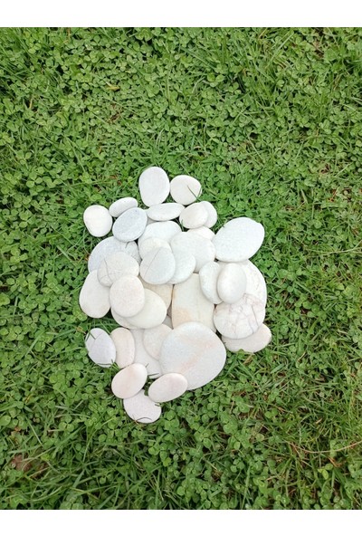 Özgün Art Store 1,5 kg Beyaz Çakıl Taşı, Deniz Taşı, Dolomit Taş | Taş Boyama | Mandala Özgün Art Store 1,5 kg Beyaz Çakıl Taşı, Deniz Taşı, Dolomit Taş | Taş Boyama | Mandala