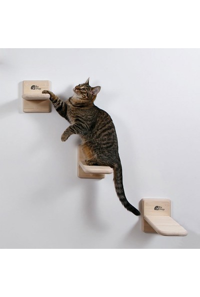 Bushop Bushop Kedi Merdiveni - Tırmanma - Atlama - Doğal Ahşap -Elit Tasarım - Duvara Monte- 3'lü Set Bushop Bushop Kedi Merdiveni - Tırmanma - Atlama - Doğal Ahşap -Elit Tasarım - Duvara Monte- 3'lü Set