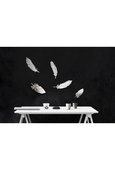 Aynalı Pleksi 5 Parça Dekoratif Tüy Tablo Aynalı Pleksi 5 Parça Dekoratif Tüy Tablo