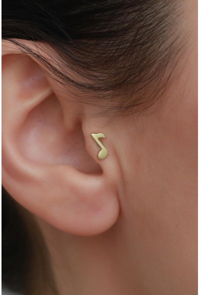 Bayar Gold 14 Ayar Altın Müzik Nota Tragus Piercing Bayar Gold 14 Ayar Altın Müzik Nota Tragus Piercing