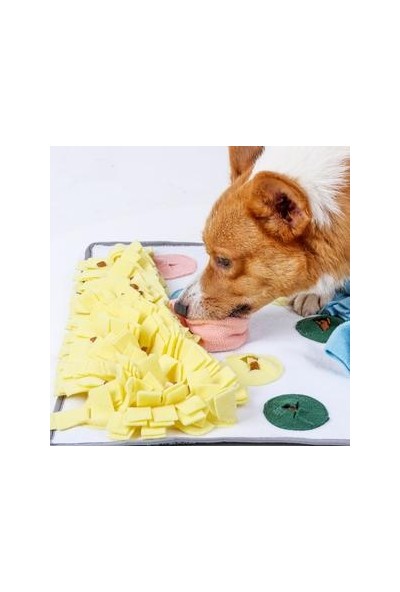 Xinhang Köpekler Snuffle Mat Kedi Köpek Interaktif Battaniye Pet Kaçak Gıda Anti Boğulma Mat Burun Çalışma Oyuncak Pet Yavaşlama Besleme Eğitim Mat | Köpek Besleme (Yurt Dışından) Xinhang Köpekler Snuffle Mat Kedi Köpek Interaktif Battaniye Pet Kaçak Gıda Anti Boğulma Mat Burun Çalışma Oyuncak Pet Yavaşlama Besleme Eğitim Mat | Köpek Besleme (Yurt Dışından)
