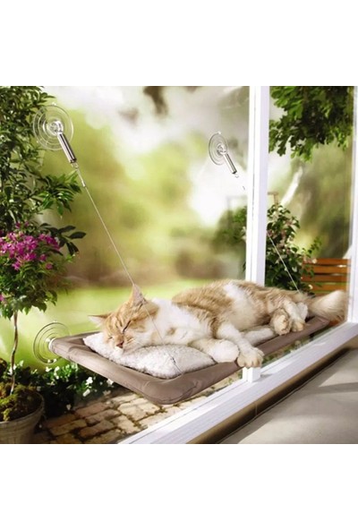 Guru Sepeti Kedi Pencere Yatağı