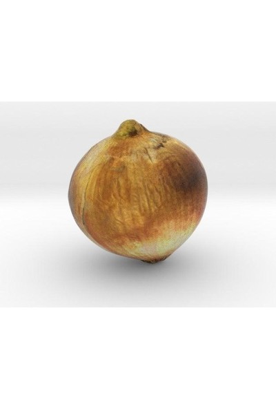 Yzcstore Soğan Plastik Aparat Yzcstore Soğan Plastik Aparat