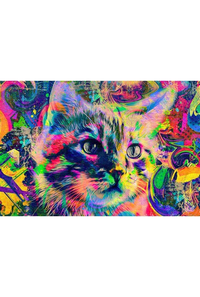 Phoenix 1000 Parça Phoenix Puzzle Yapboz Muhteşem Renkler Kedi Phoenix 1000 Parça Phoenix Puzzle Yapboz Muhteşem Renkler Kedi