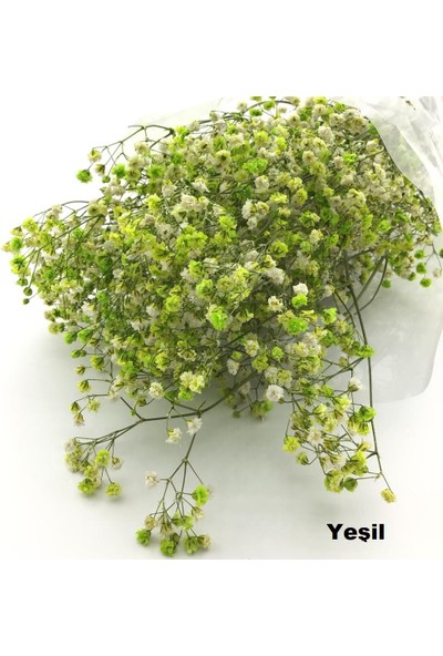 Cipso Çiçek (50GGR / 50 cm ) Şoklu